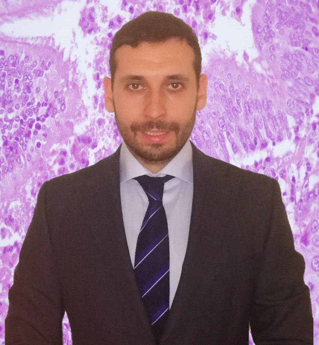 Organoid Hub - Plataforma ISCIII Biobancos y Biomodelos