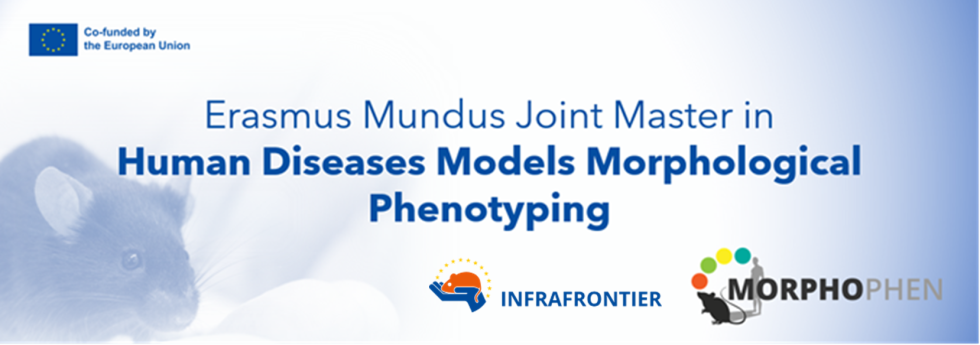 MorphoPHEN-INFRAFRONTIER Workshop in Mouse Pathobiology - Plataforma ISCIII Biobancos y Biomodelos